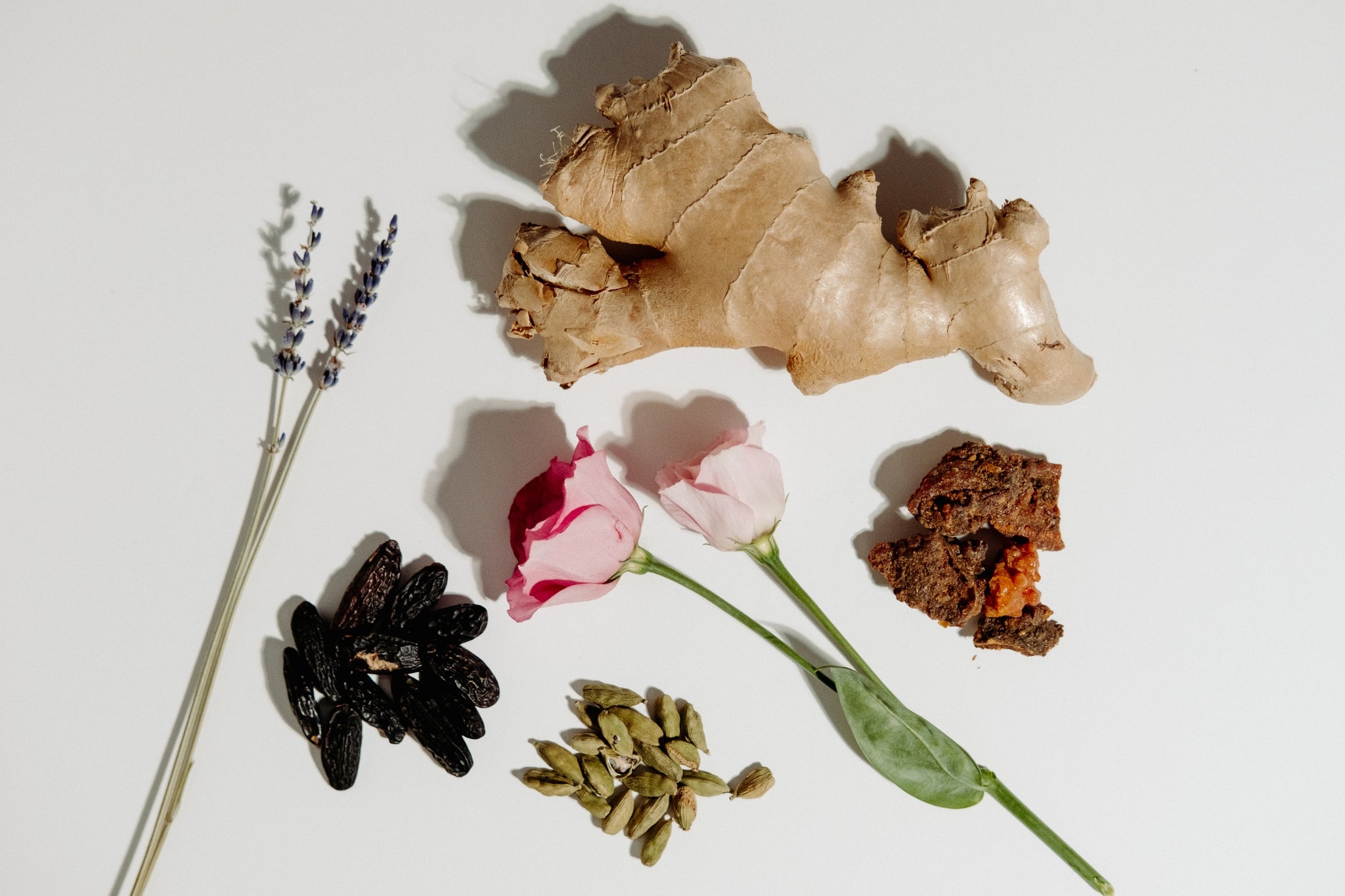 Beginners Guide to Fragrance #11: How to Enhance Your Sense of Smell